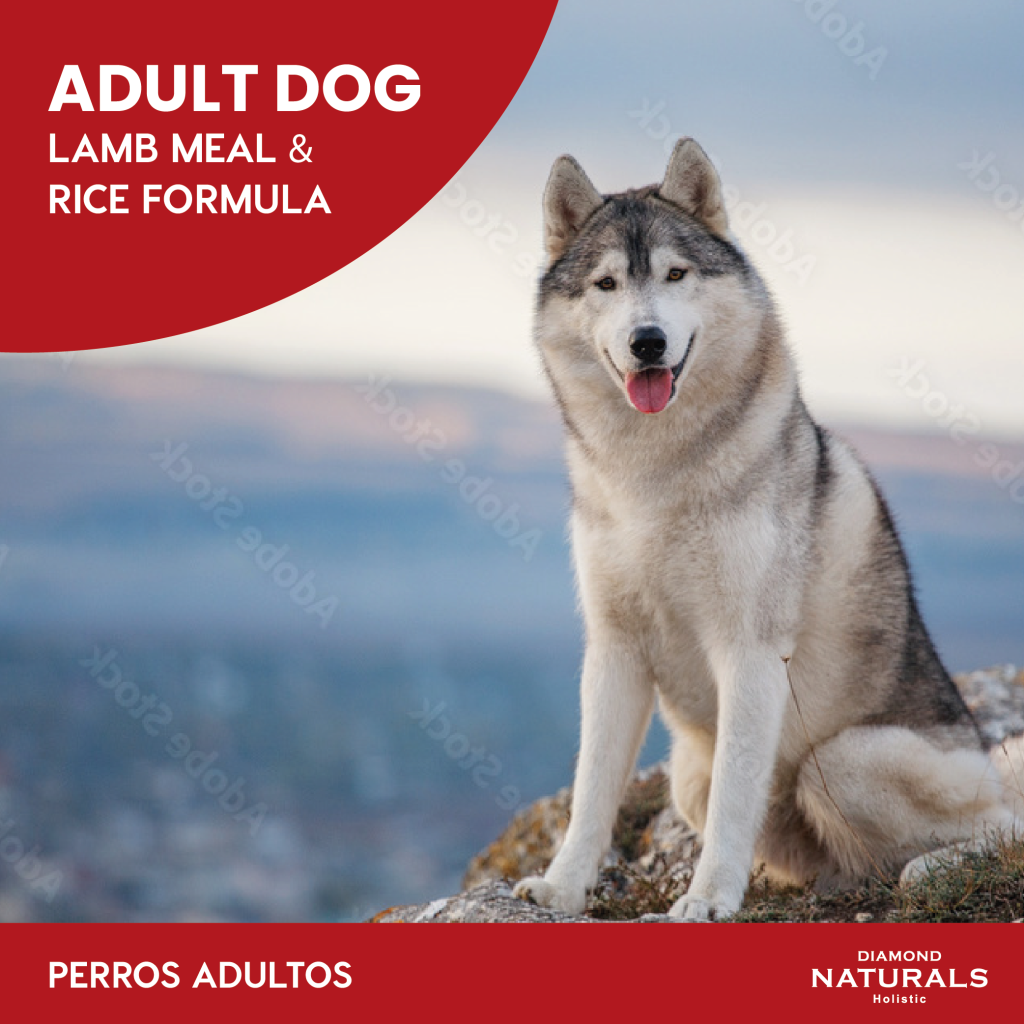 Lamb Meal & Rice - Diamond Pet foods